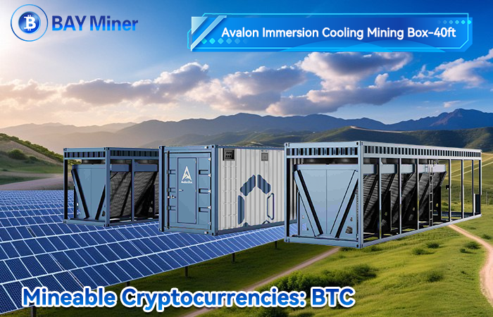 BAY Miner -Home Page